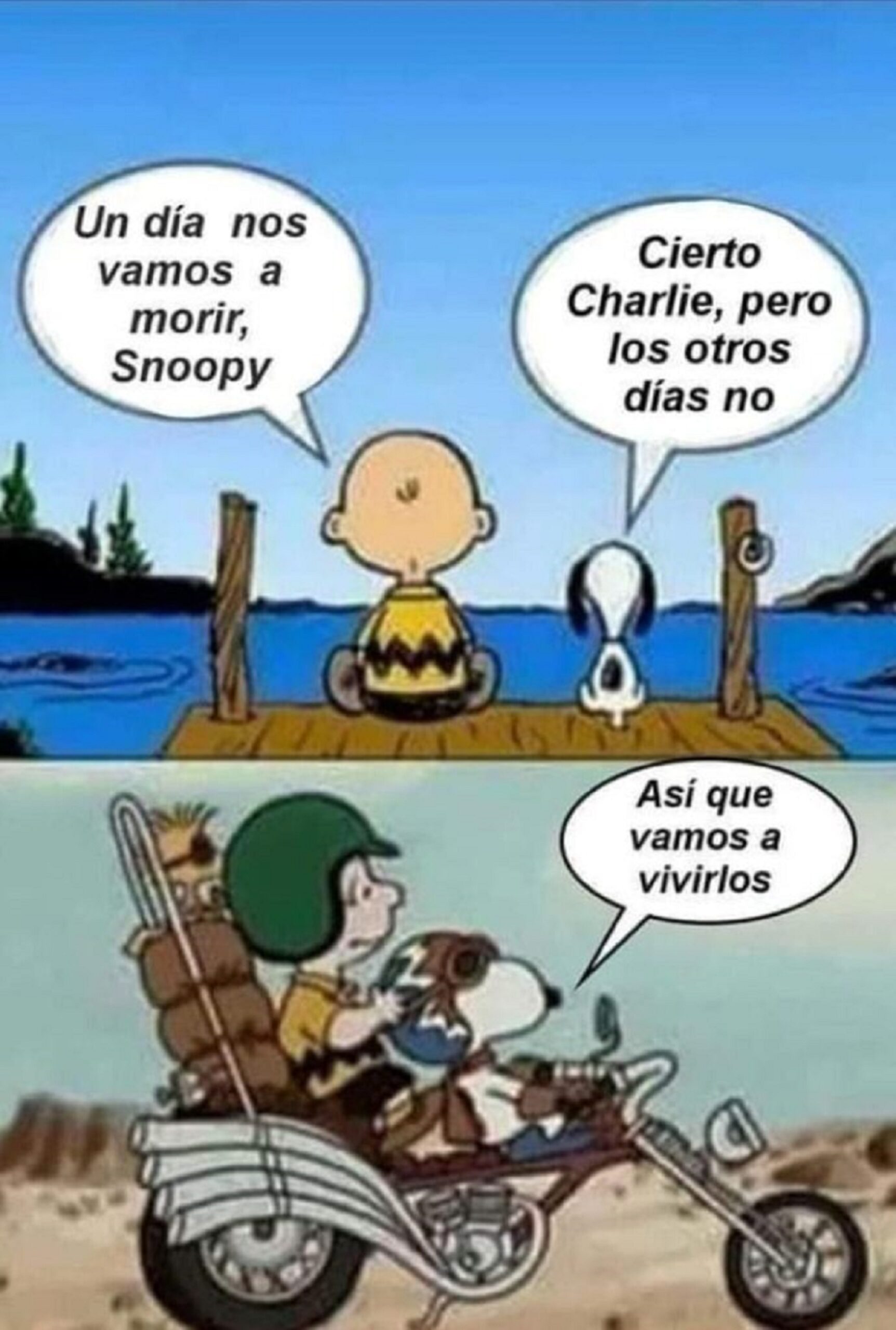 CHARLIE Y SNOOPY